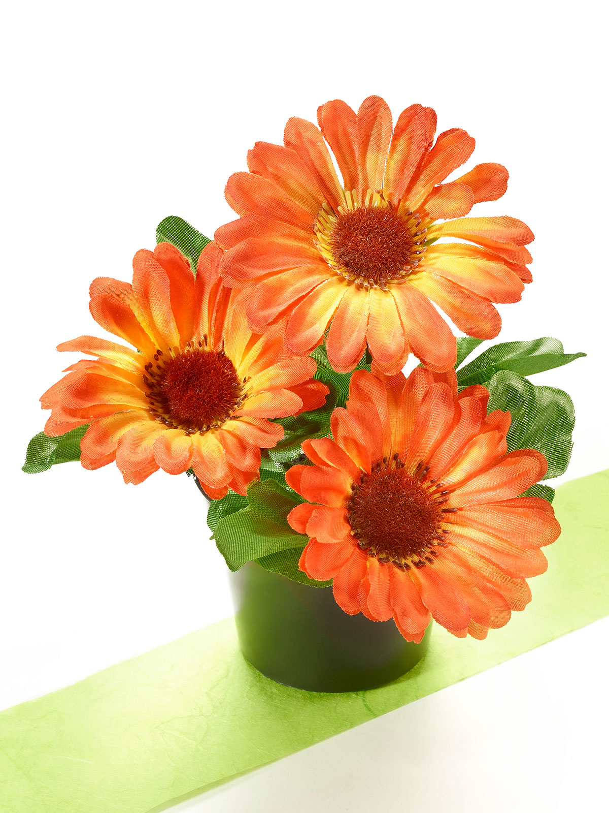 Mini-Gerbera | 101998