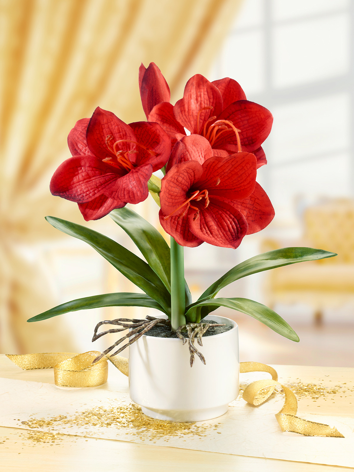 Amaryllis im Keramiktopf | 104065